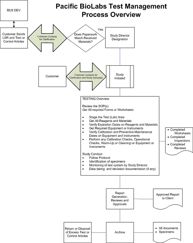 Testing Process